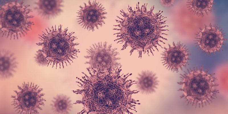 Kerala Faces Its Fourth Nipah Virus Outbreak: Understanding the ... Kerala Faces Its Fourth Nipah Virus Outbreak: Understanding the ...